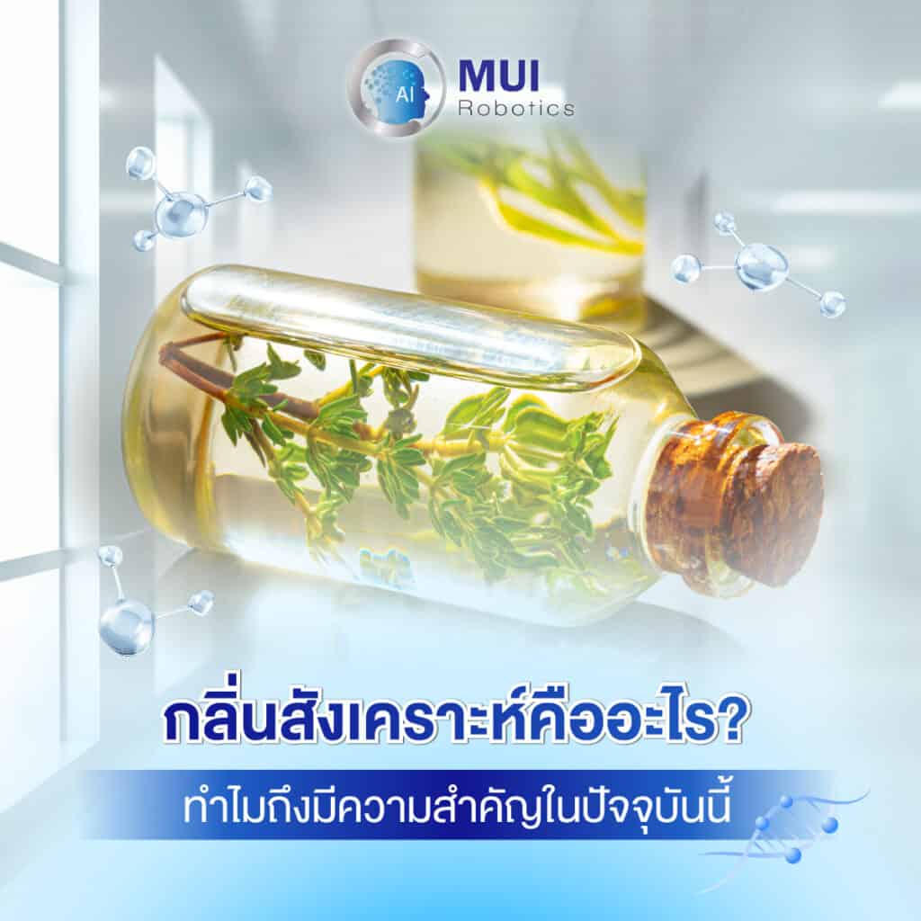 จมูกอิเล็กทรอนิกส์กับบทบาทการใช้งานในอุตสาหกรรมกลิ่นสังเคราะห์ - mui ...
